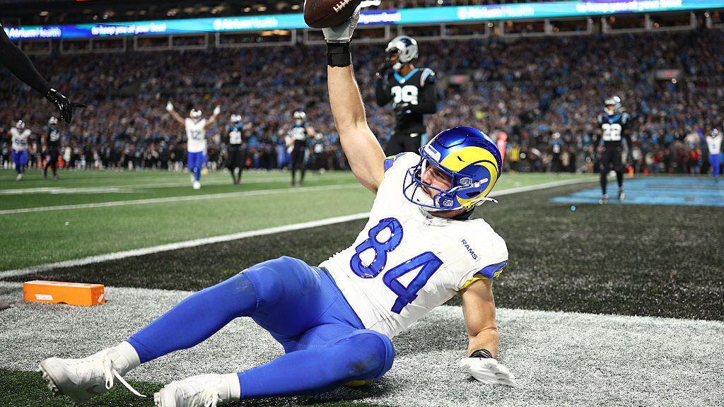 Rams survive scare to beat Panthers in NFL play-off thriller