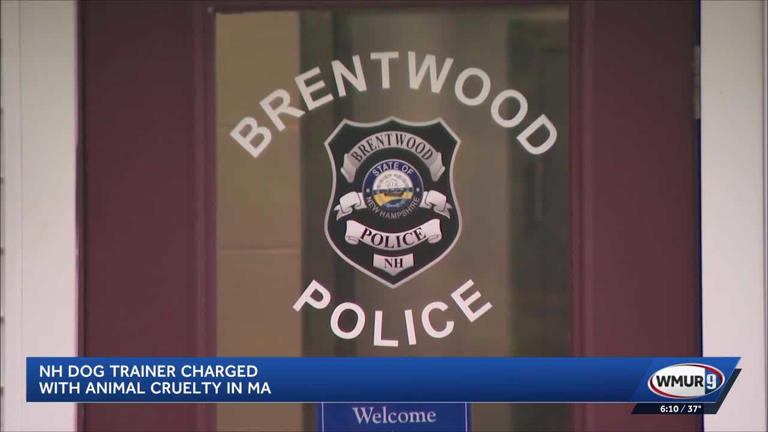 Mass. woman with ties to Brentwood charged with two counts of animal ...
