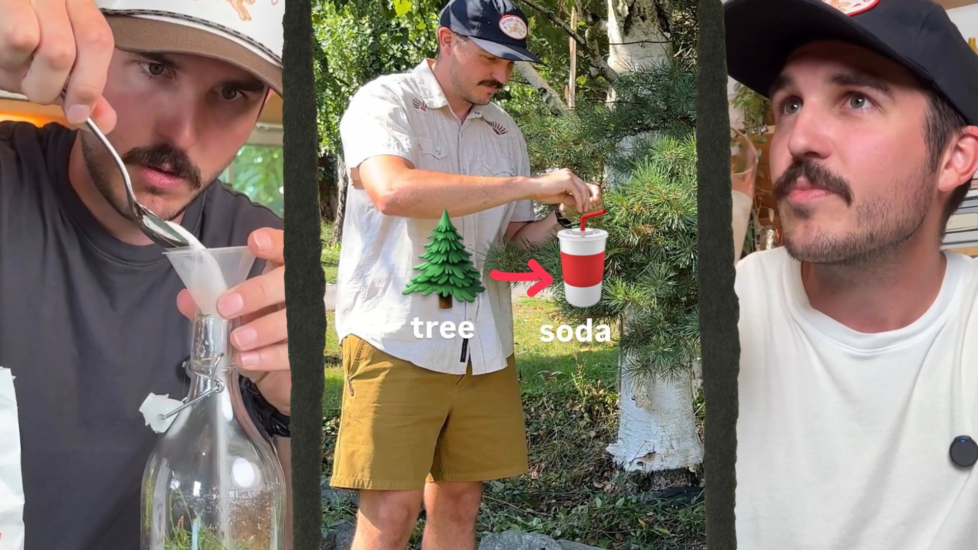 Wilderness expert shows how easy it is to make soda using just pine ...