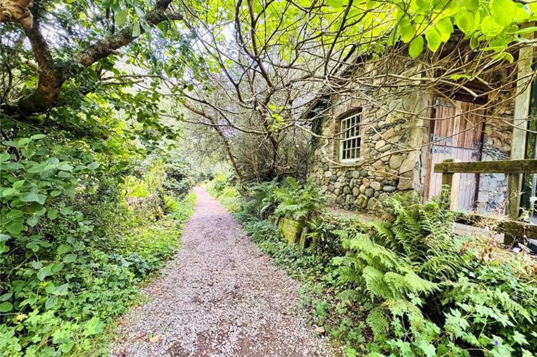 Welsh cottage looks like it's sat in the Australian outback