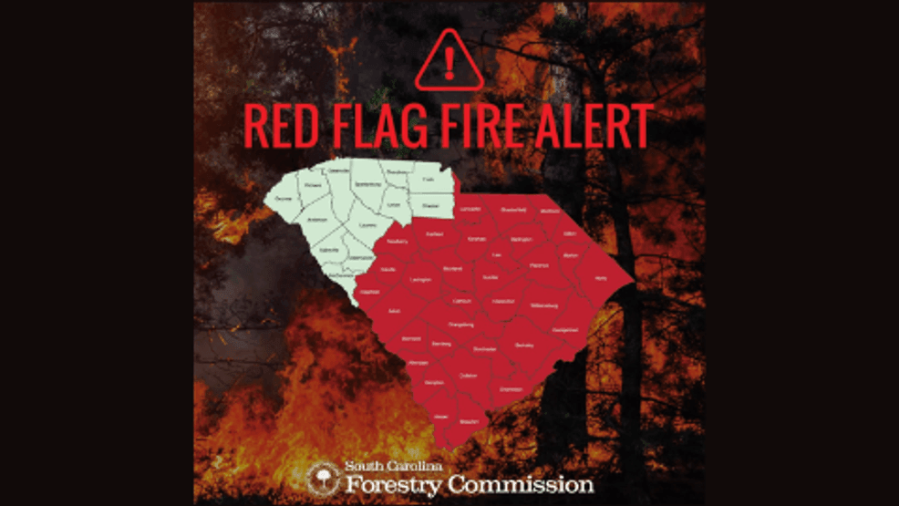 Grand Strand, Pee Dee included in red flag fire alert across South Carolina