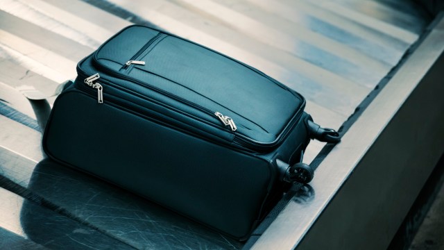 Authorities make startling discovery after examining family's luggage ...