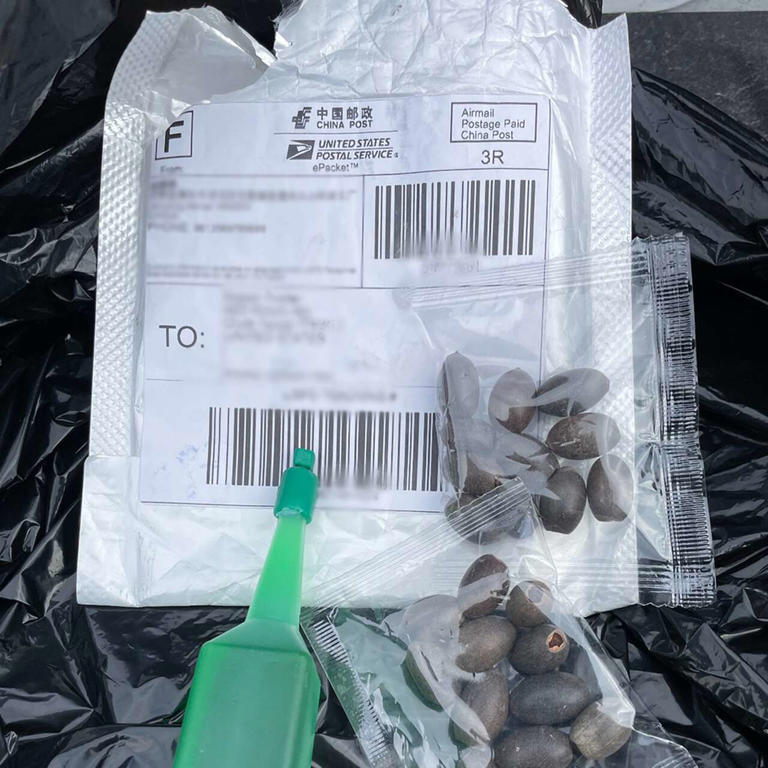 Mystery seeds from China prompt warning from Texas officials