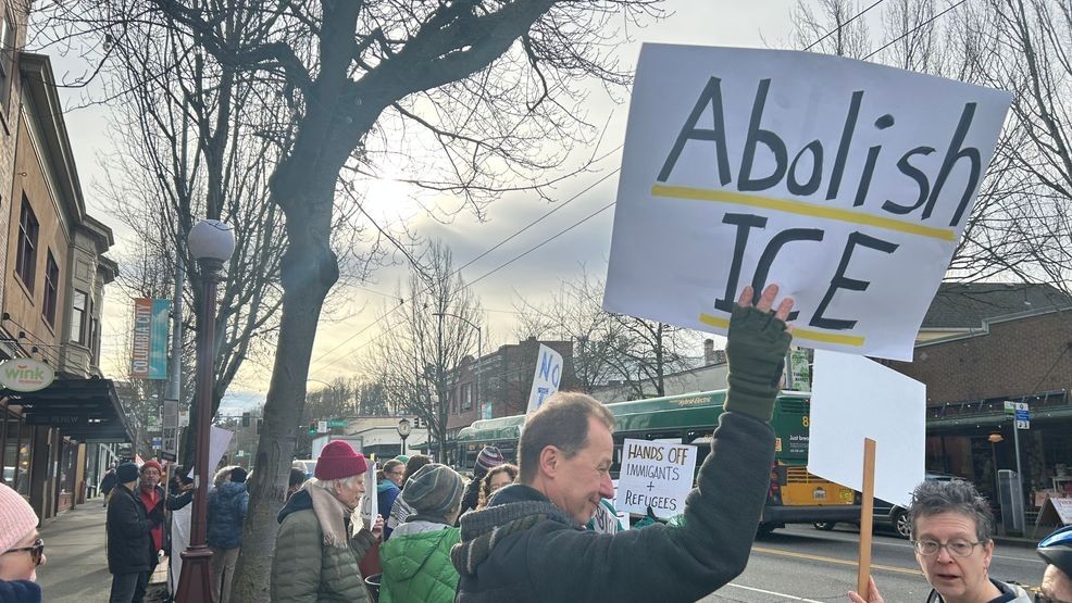 Cellphone video fuels local debate over ICE agent's deadly force in ...