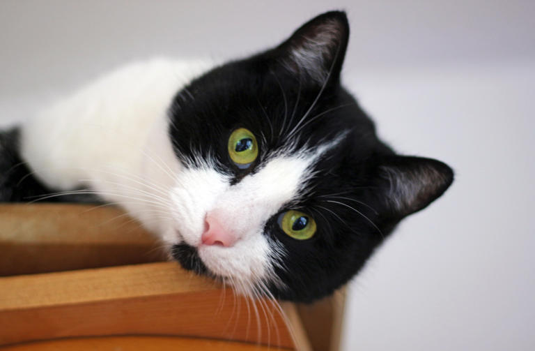 31 of the funniest, cutest, silliest, and most creative names people ...