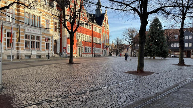 Zerstörte Mauer: Unbekannte verwüsten Schlossgarten Arnstadt