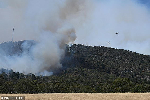 Despicable act is slammed as bushfires destroy 300 buildings in worst ...