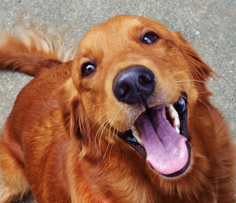 31 of the funniest, cutest, silliest, and most creative names people ...