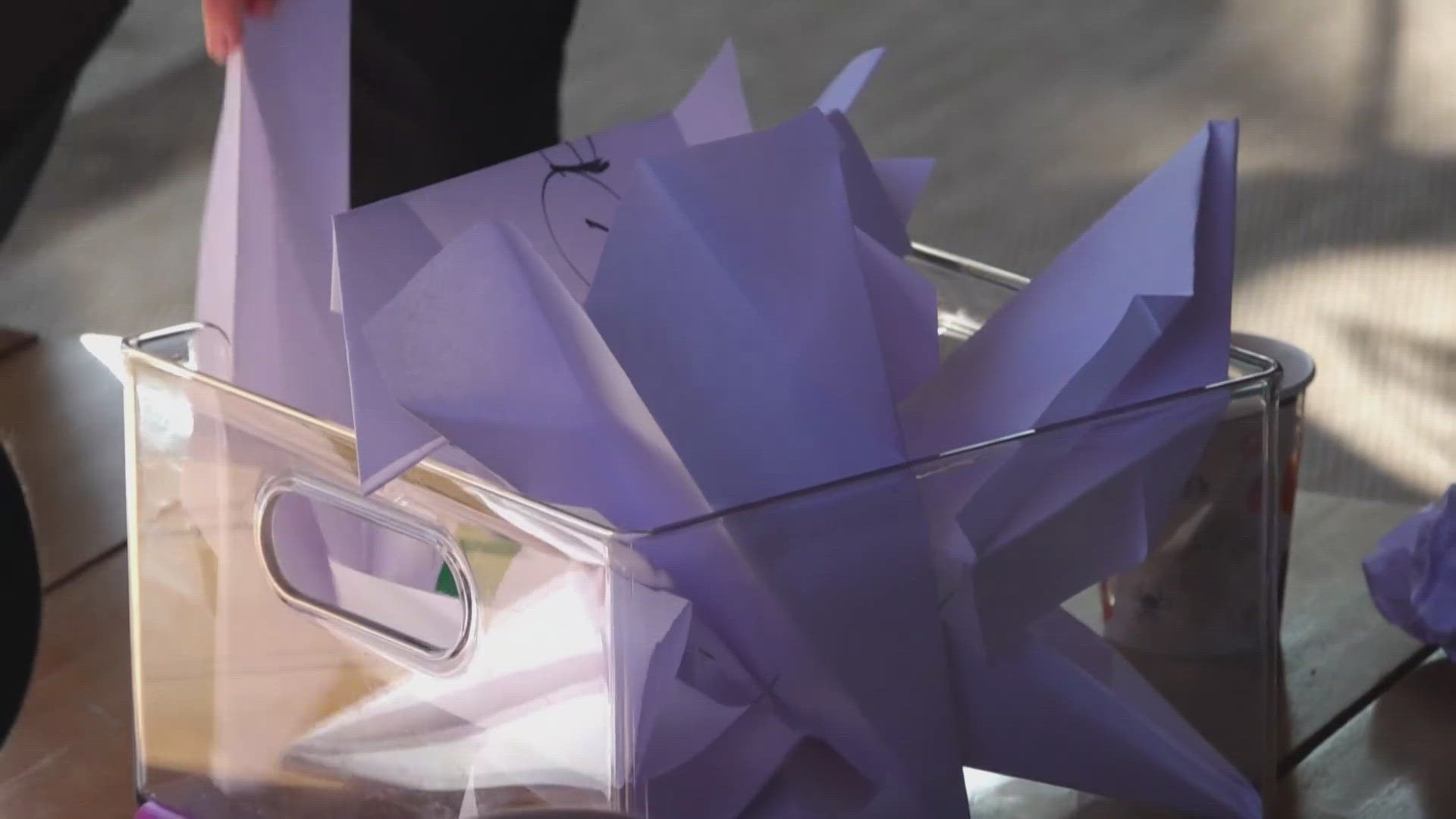 Inspired by his grandmother, a Sacramento boy turns civic lessons into ...