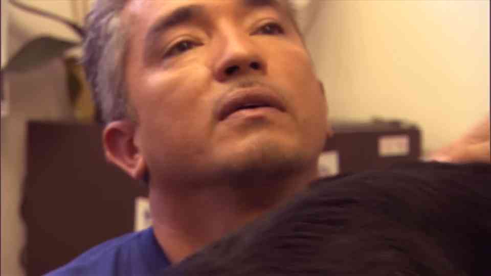 Left behind: The dogs that survived Hurricane Katrina | Dog Whisperer ...