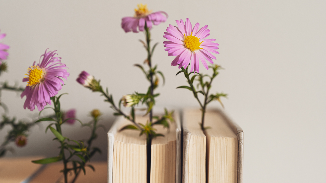 50 book quotes that stay with you long after the page ends