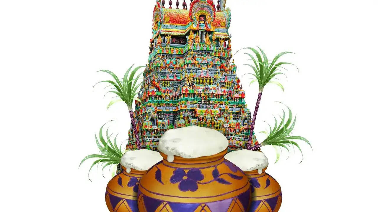 When is Thai Pongal 2026? Date, auspicious time, rituals and why we ...