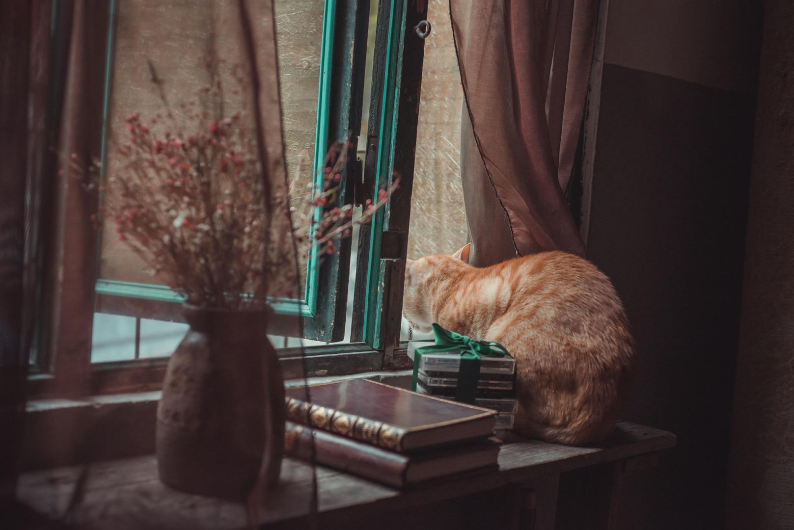 Moi dziadkowie co roku sami przepowiadają, jaka będzie pogoda przez ...