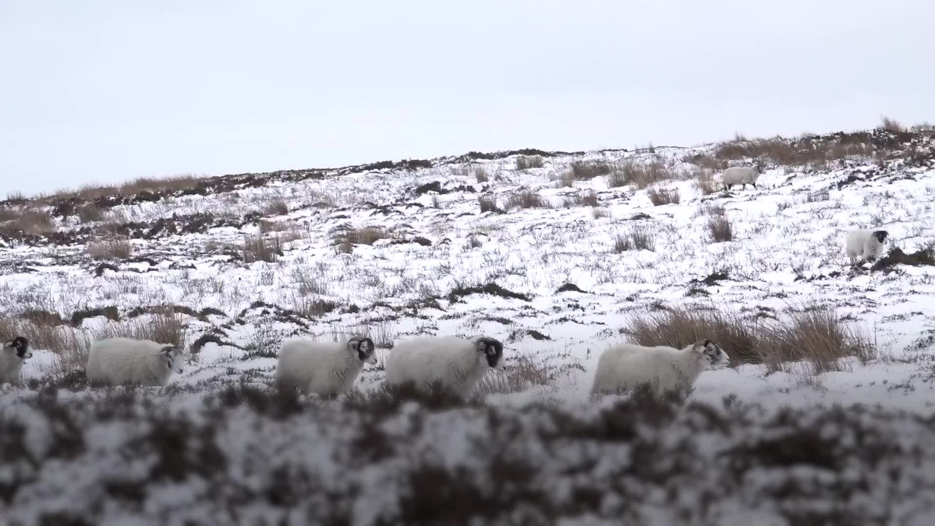 Weather warnings remain in place across UK after Storm Goretti