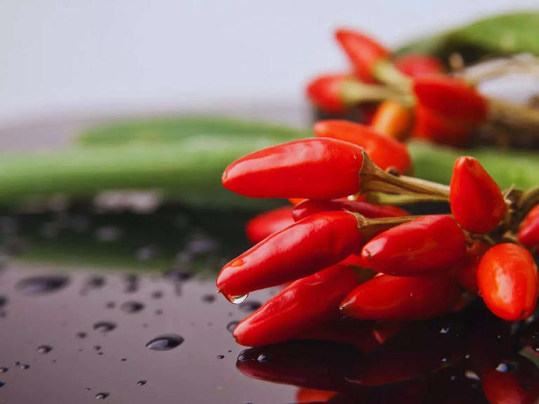 How to grow red chillies on your balcony garden; tips and tricks