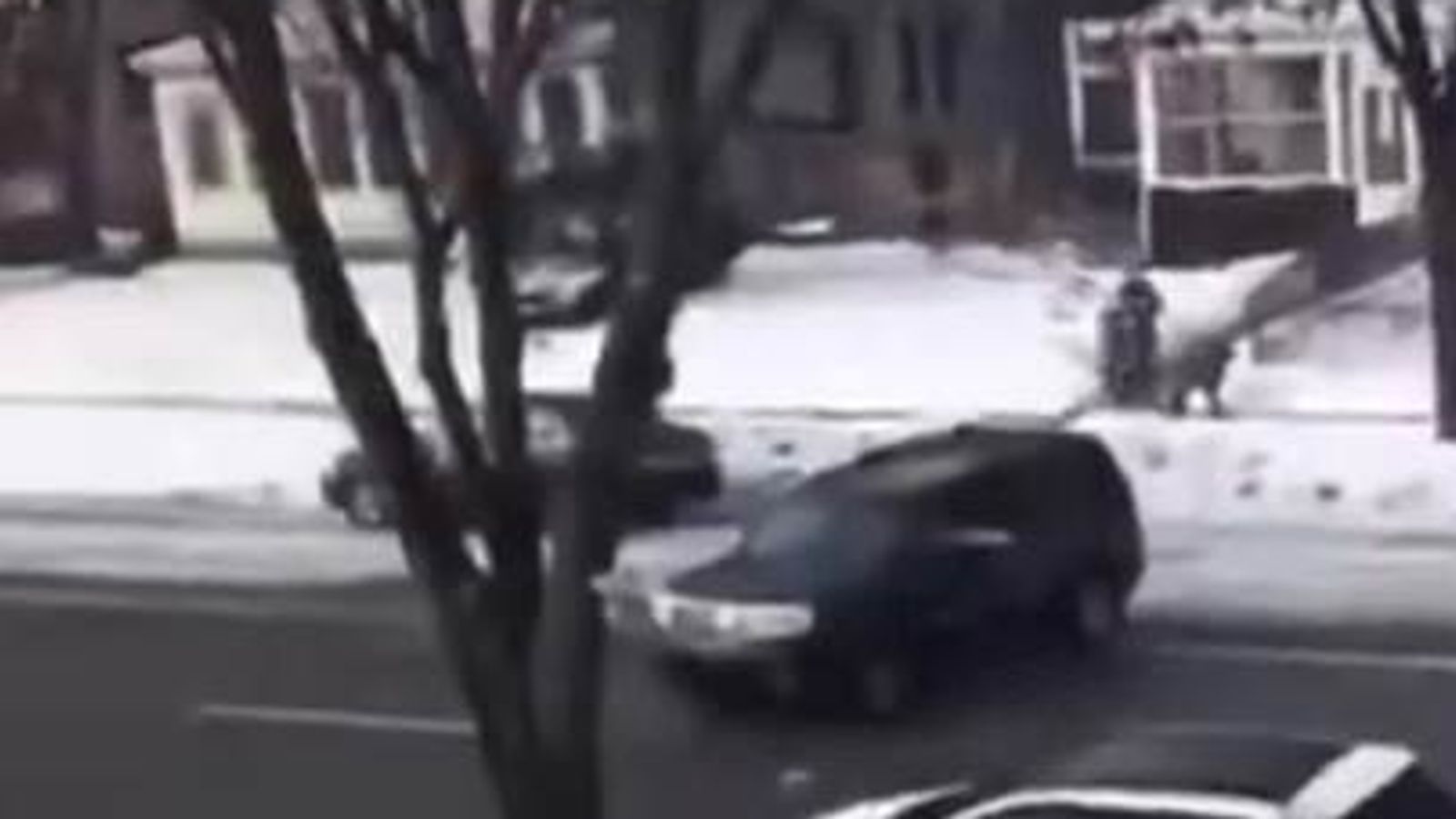 New video shows lead up to ICE shooting