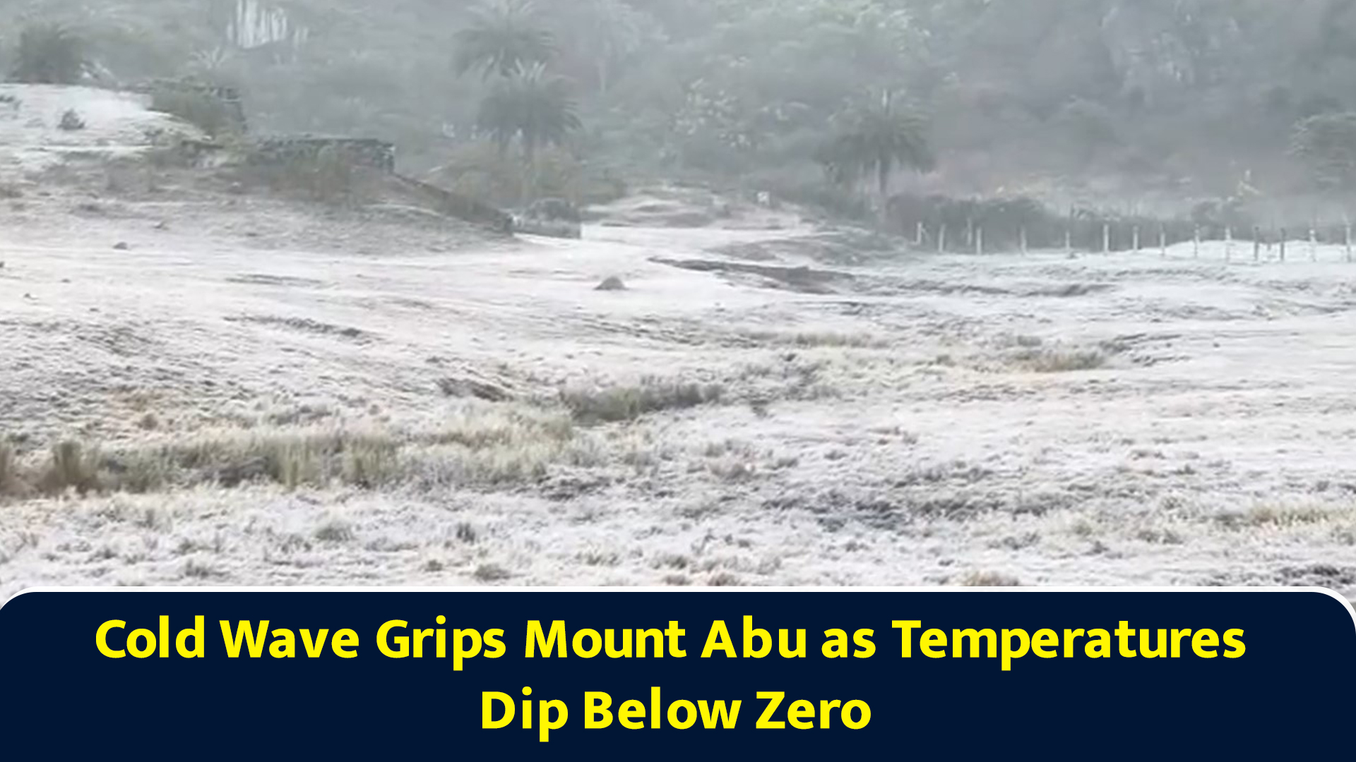 Cold wave grips Mount Abu as temperatures dip below zero