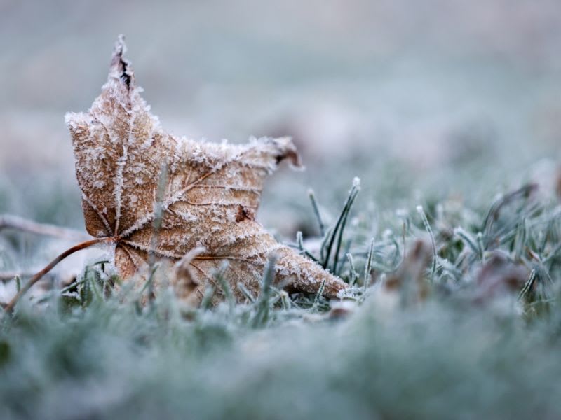 Wetterwarnung Gotha heute: Frostgefahr in mehreren Gemeinden