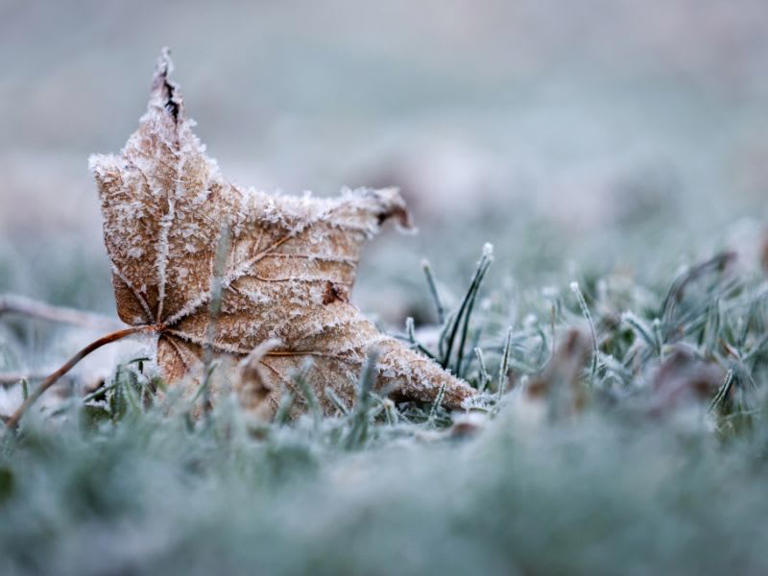 Wetterwarnung Gotha heute: Frostgefahr in mehreren Gemeinden