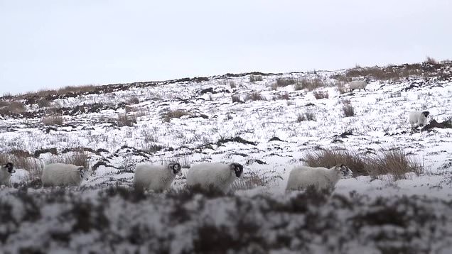 Weather warnings remain in place across UK after Storm Goretti