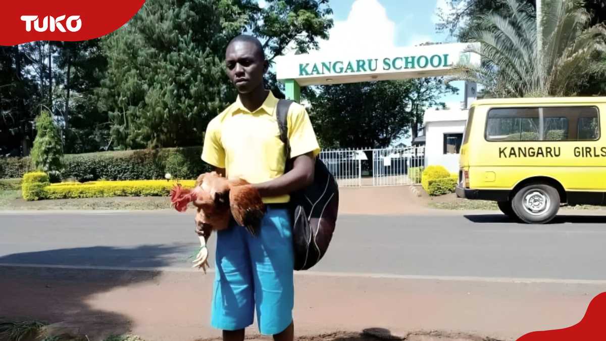 KCSE 2025: Embu boy who reported to form one with rooster as school ...