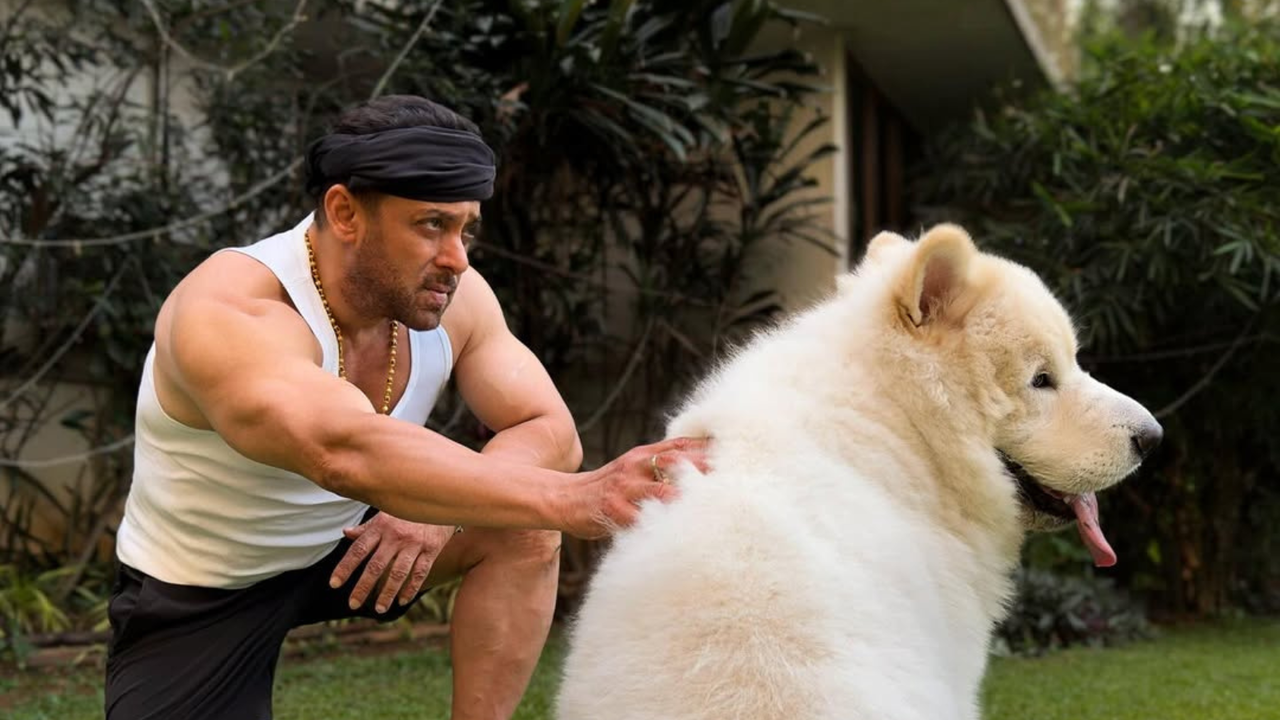 Salman Khan cuddles adorable furball in new post; calls pet dog 'My ...