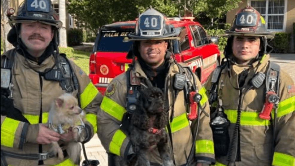 Firefighters rescue two dogs and a cat from Lake Worth Beach kitchen blaze