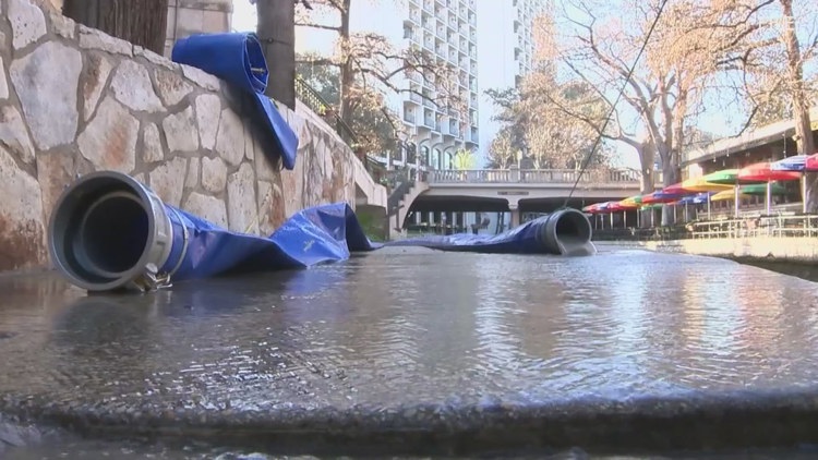 Native fish to be relocated during River Walk draining