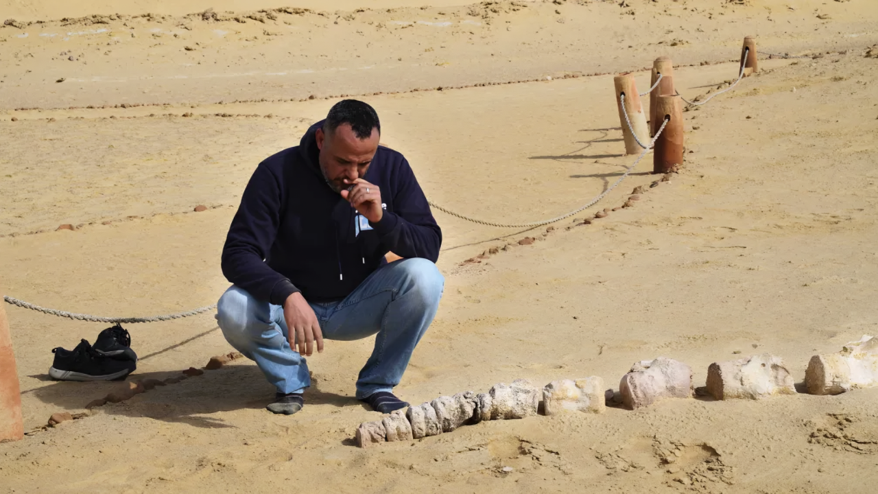 4,500-year-old skeleton solves Egypt–Mesopotamia genetic puzzle