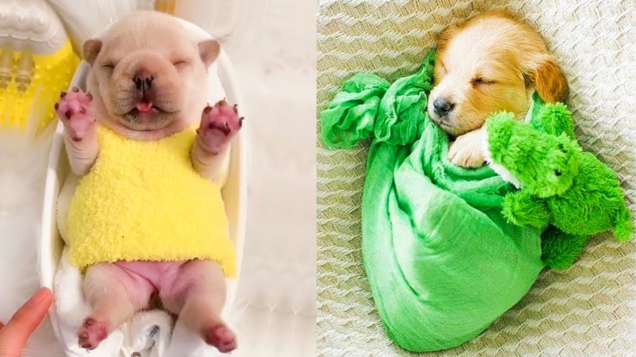 Sleepy babies wrapped in soft warmth