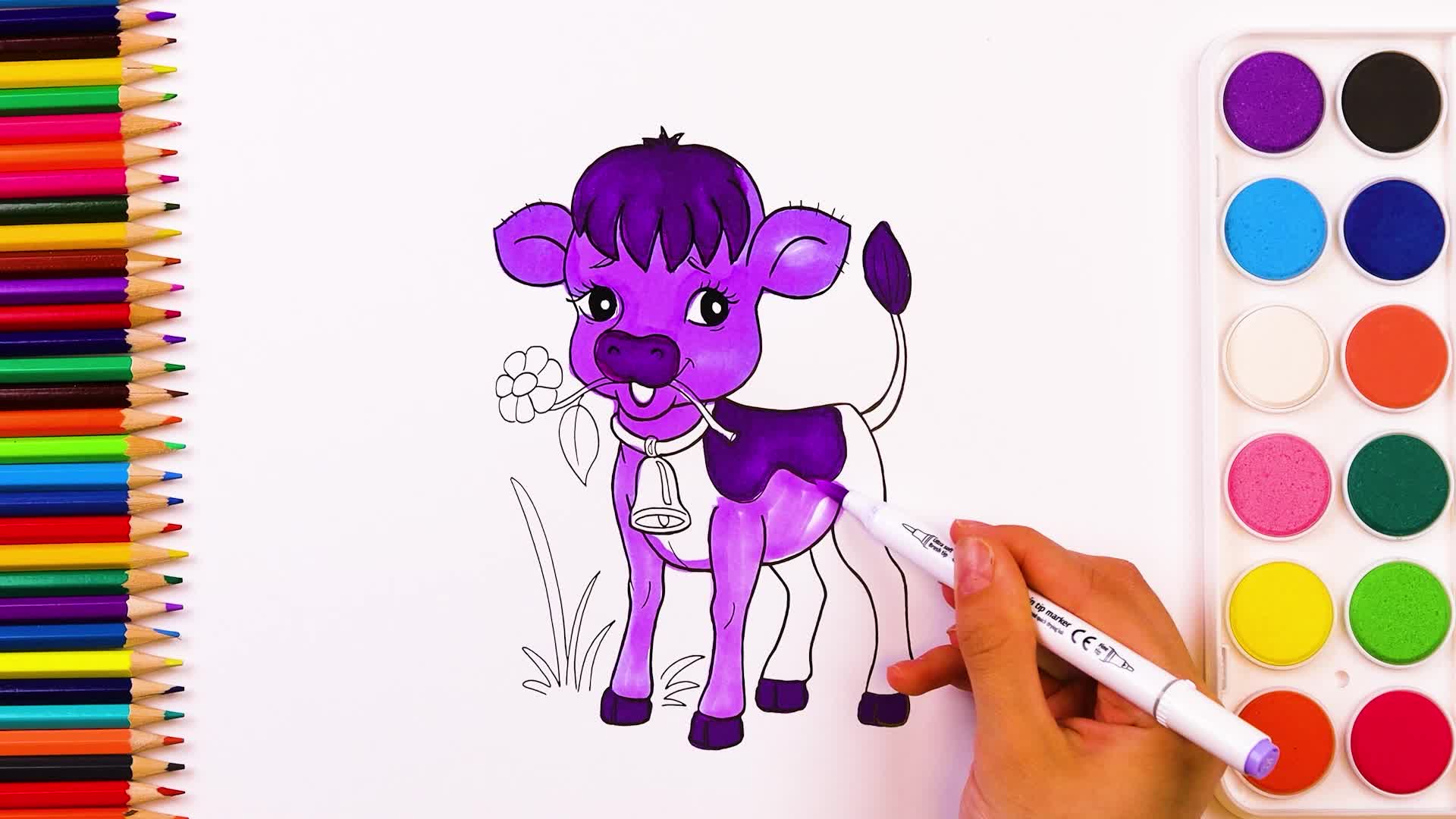 Learn colors with adorable calf drawing