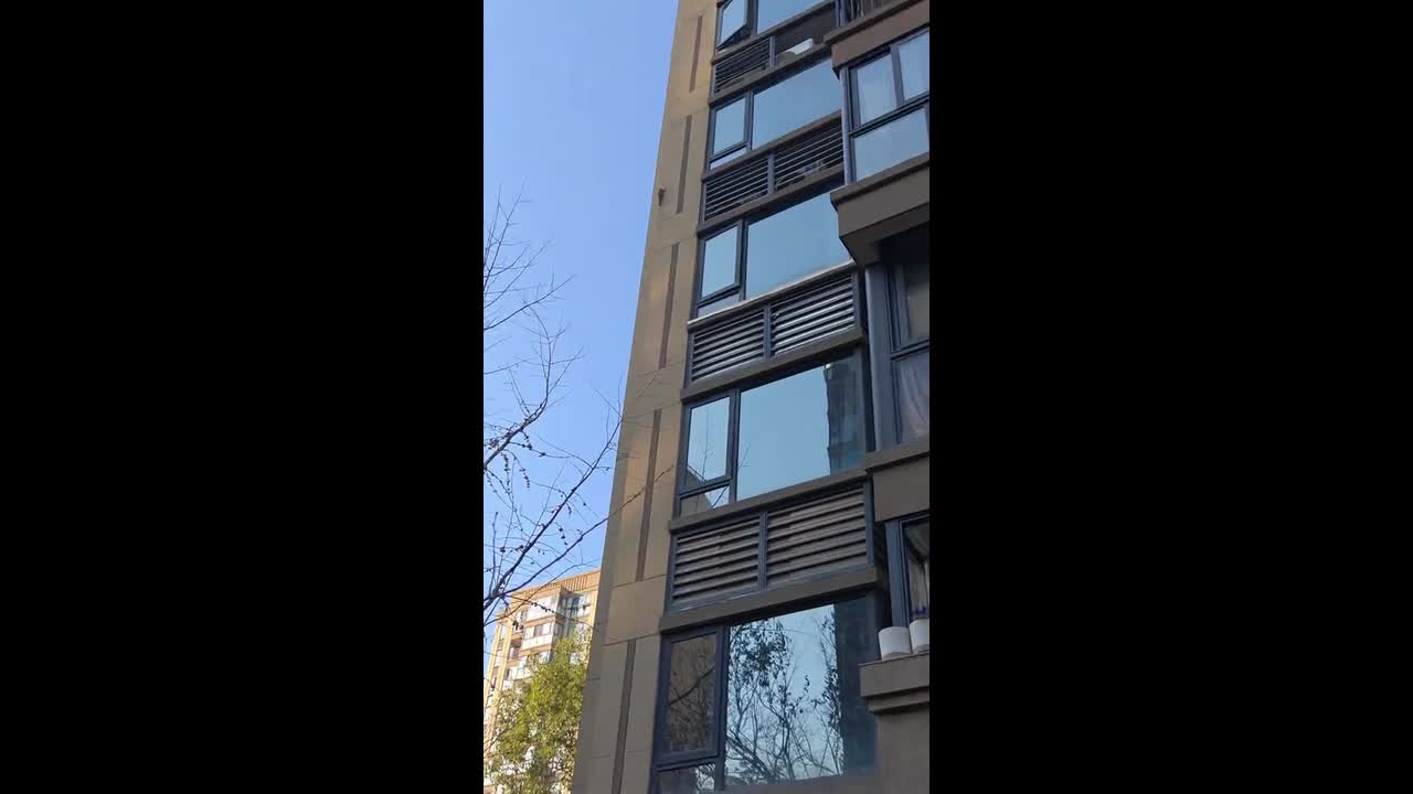 Squirrels navigate building walls in Zhejiang, China