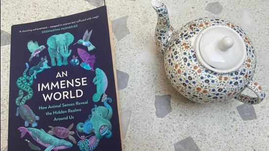 Book box: Railsong and the art of reading slowly