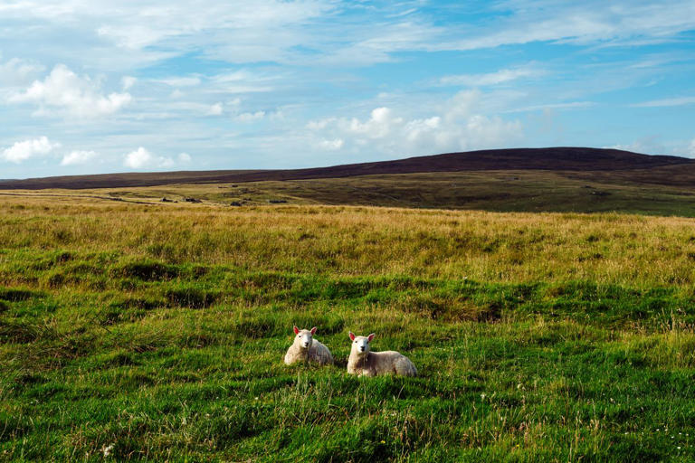 On Scotland's wild and windswept Shetland Islands, centuries of ...