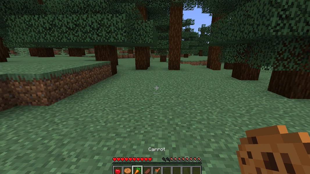 Minecraft hunger bar display