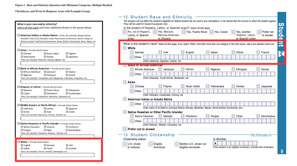 FAFSA has asked applicants what 'type' of white they are since 2024 ...