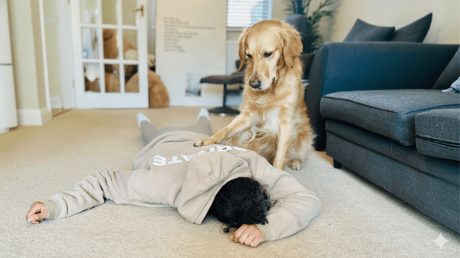 Golden retriever thinks I’m dead