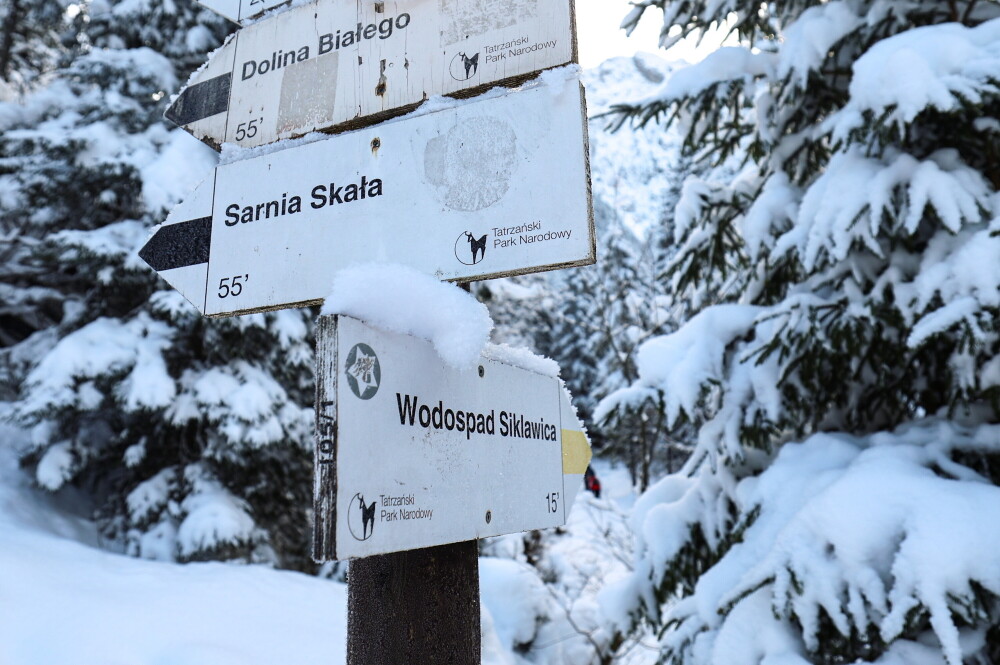 Tatry: pracowity początek roku dla TOPR; 23 osoby potrzebowały pomocy
