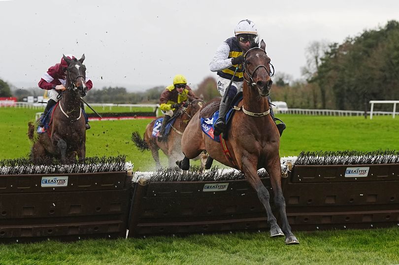 Willie Mullins-trained Royal Ascot winner emerges as Cheltenham ...