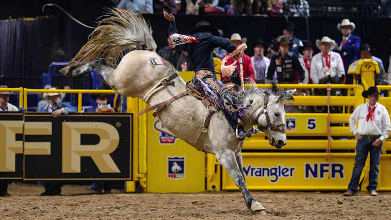 Summit Pro Rodeo's horses sweep buck and ball victories