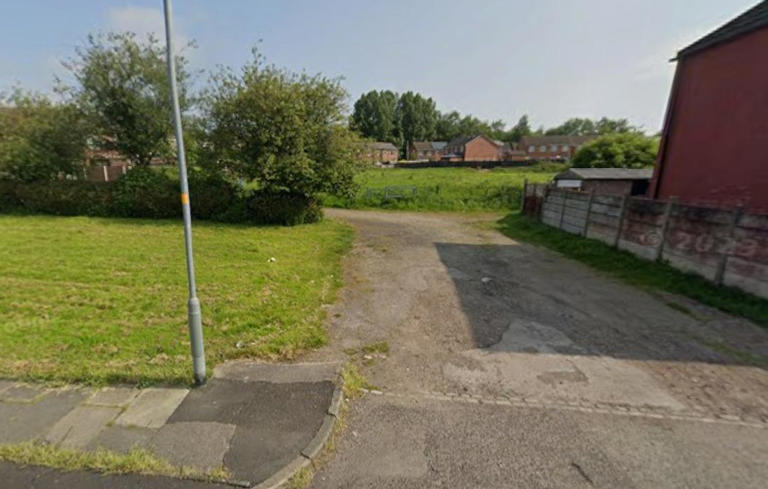 Eight areas of land - including a former school playing field - could ...