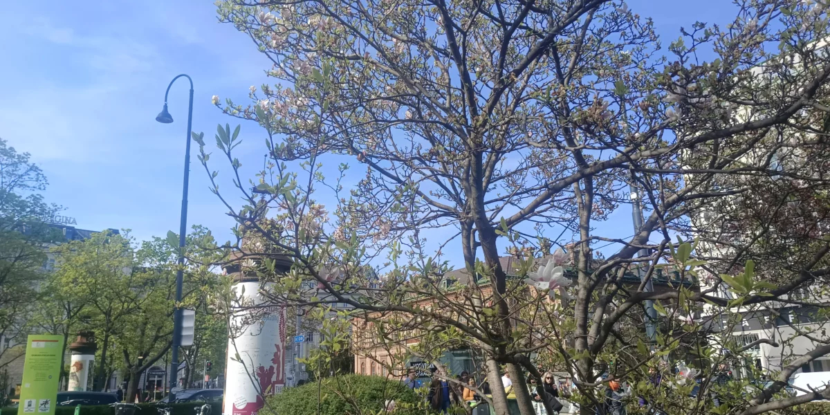 Hilfe für Wildtiere in Not: Tipps für den Winter