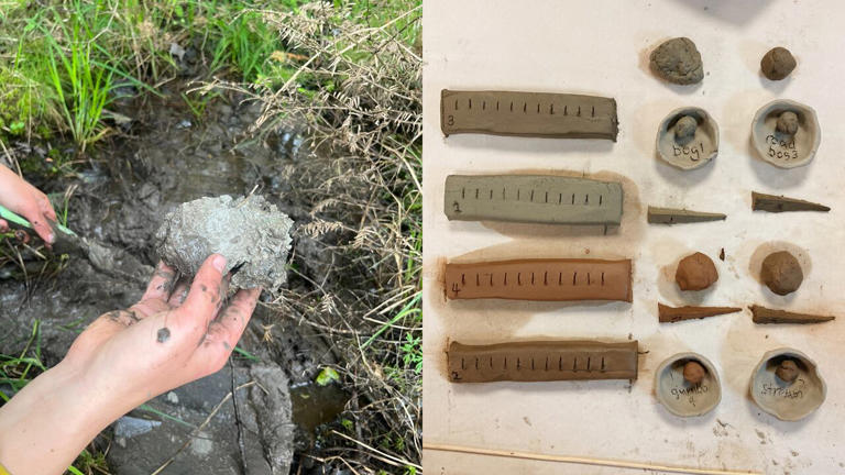 NS artist helps kelp grow in homemade clay pots in underwater art ...