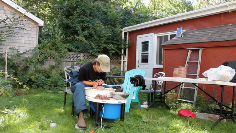 NS artist helps kelp grow in homemade clay pots in underwater art ...