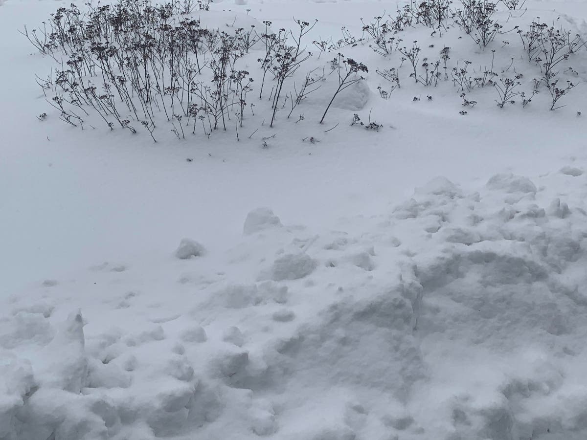 Snow squalls target NJ Sunday as cold front moves through