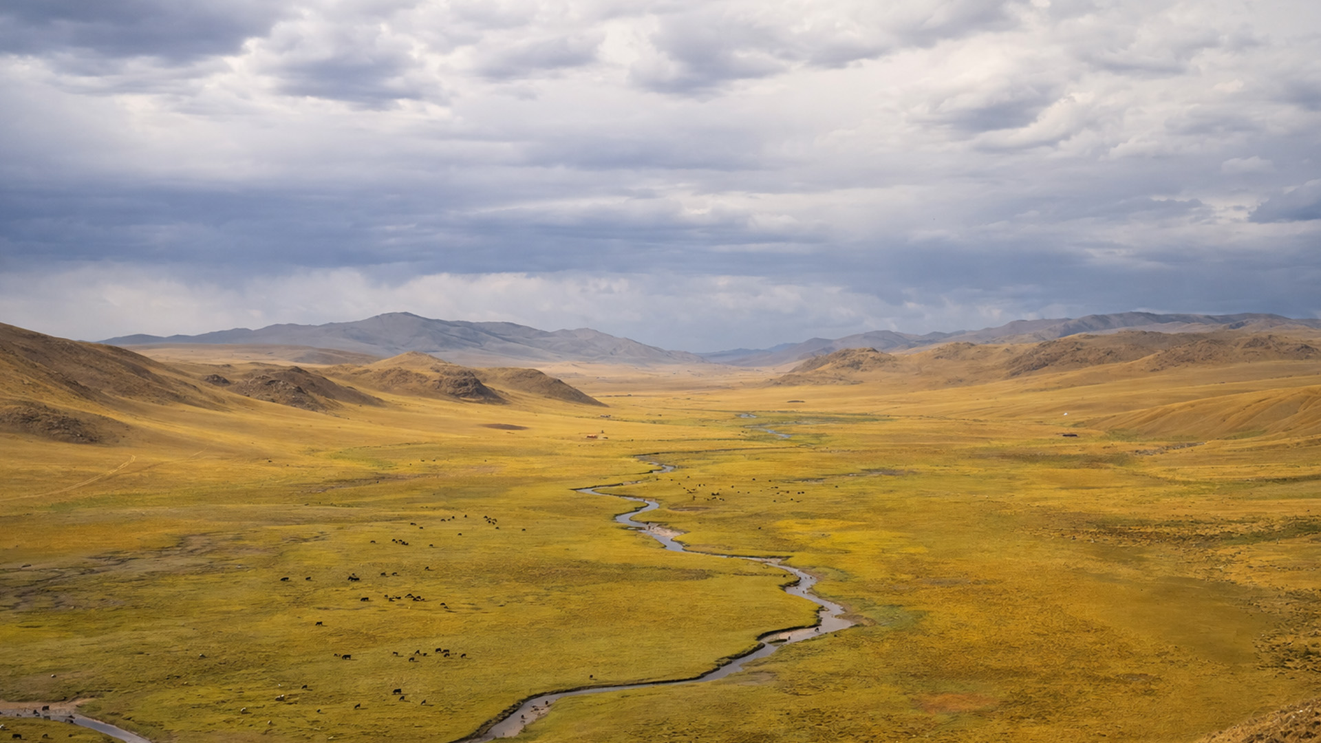 A river through the empty plains