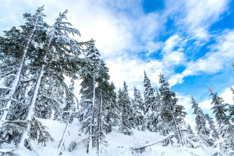 Discover why this Washington mountain shines in winter