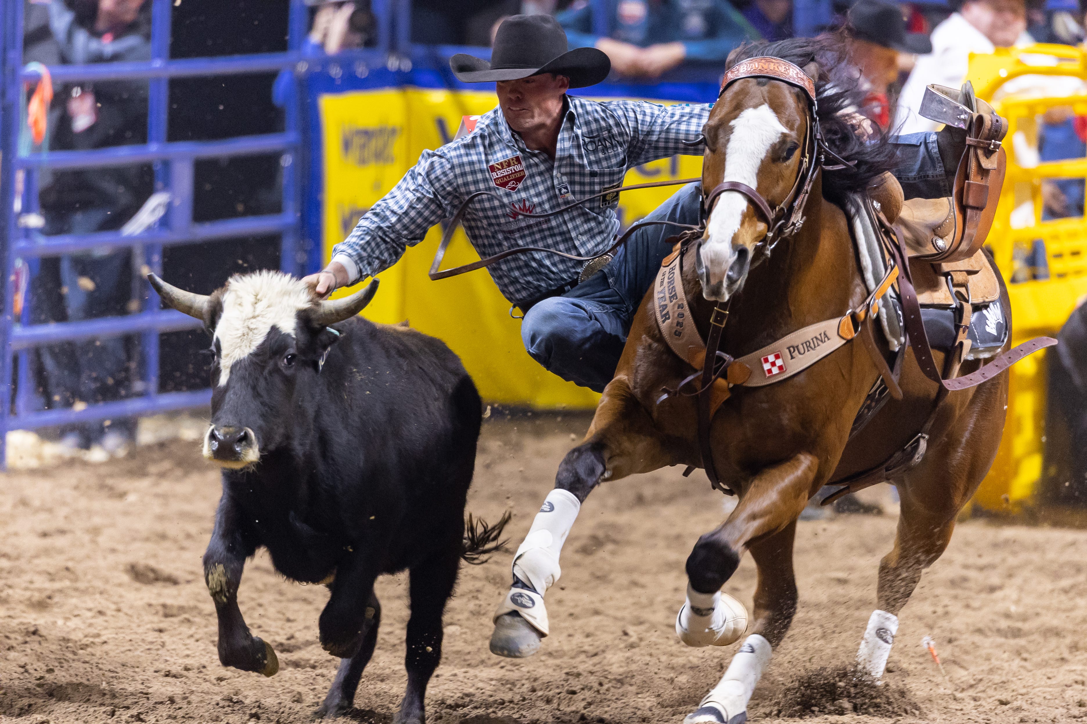 Ventura cowboy Tucker Allen steers his way to world championship