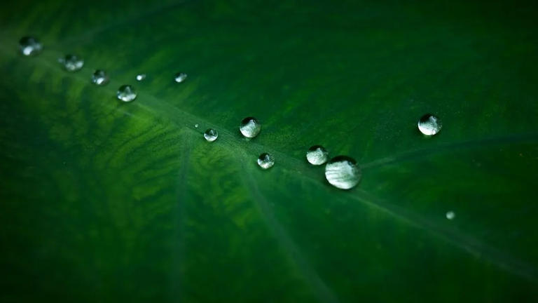 Why raindrops could generate more power than solar panels by 2030