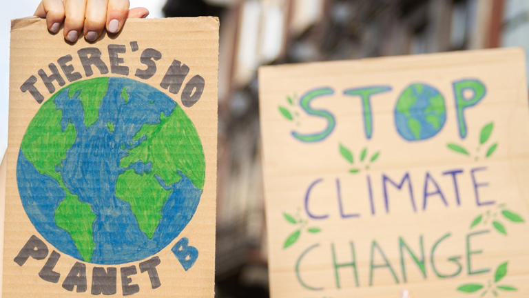 Professors claim Disney's 'Lion King' and other animated films promote ...